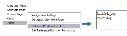 Set the view scale